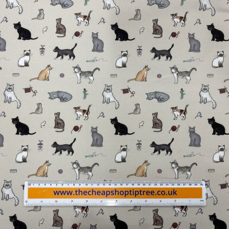 Winsome Whiskers Panama - The Cheap Shop Tiptree